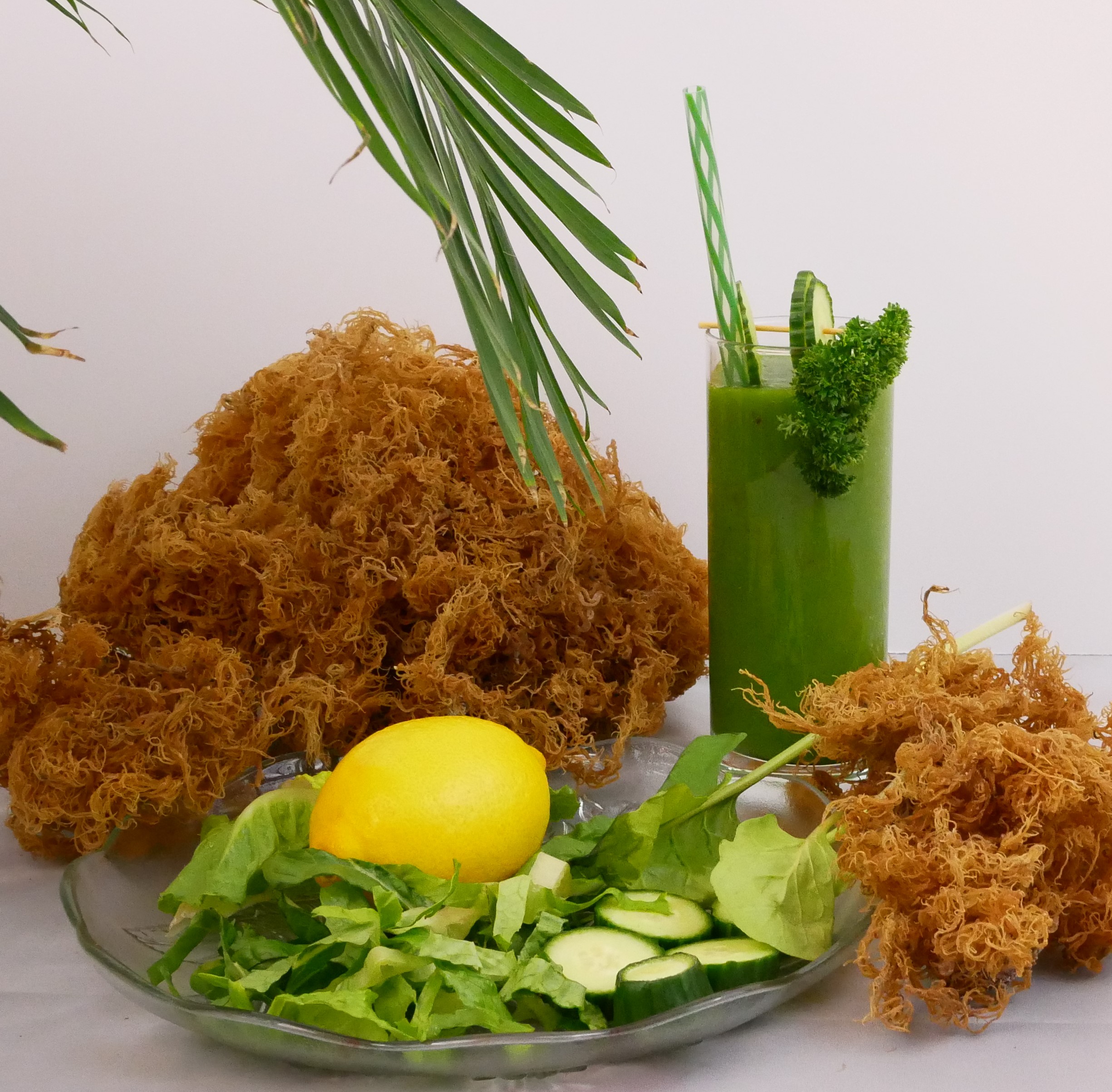 Toronto sea moss - Caribgem | Sea moss Toronto | Sea moss Canada